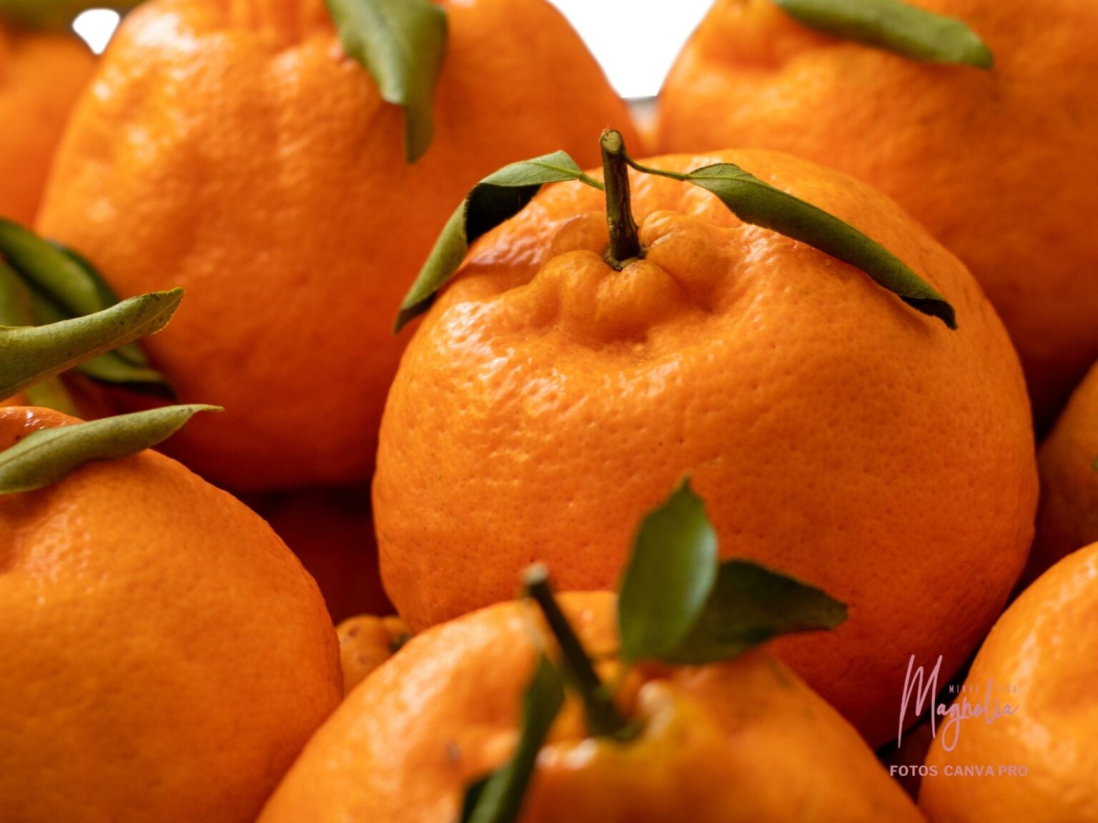 O sabor da bergamota: fruta do inverno que aquece a memória - Minha ...